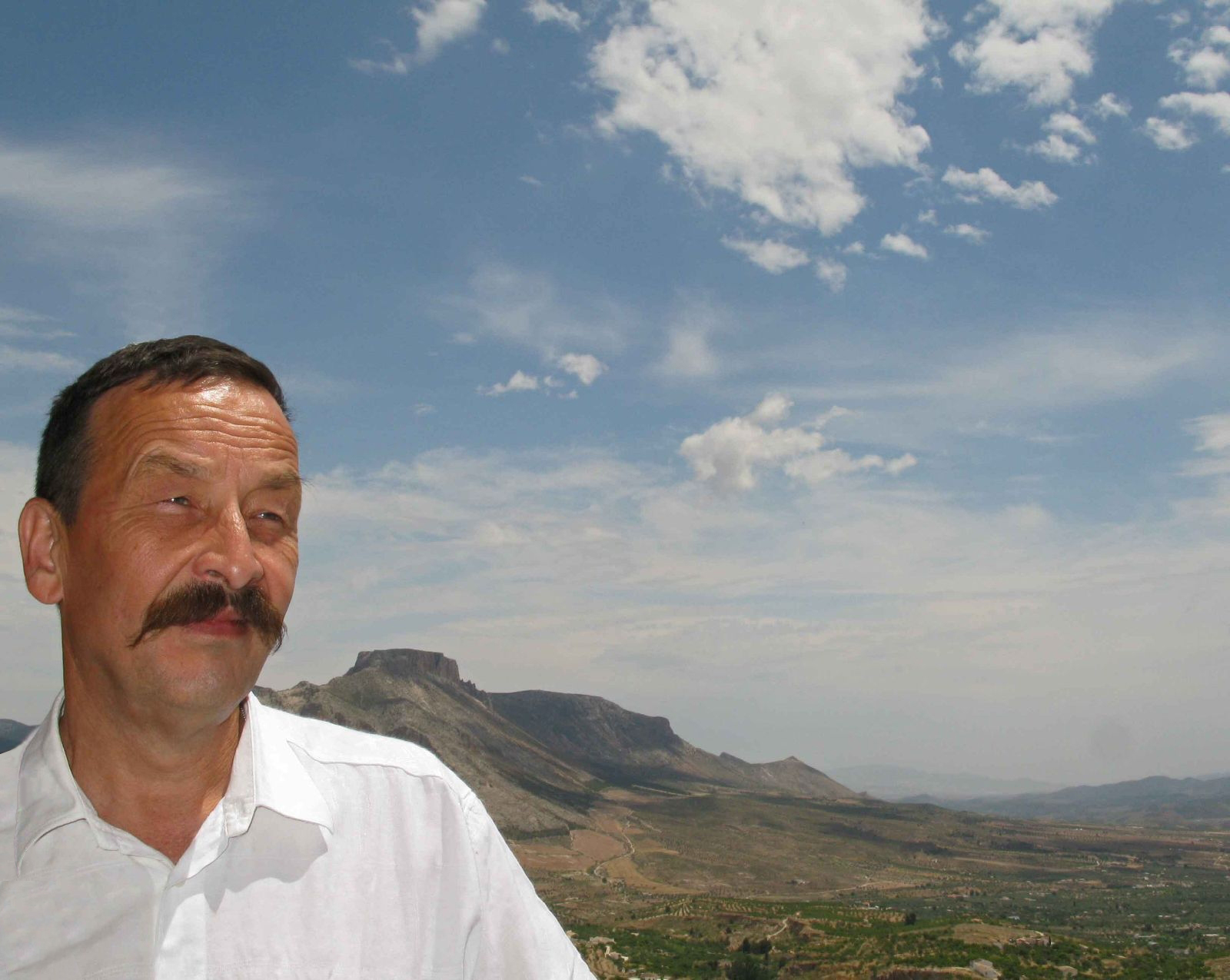 Nicolae Razvan Mincu - Arte Vizuale si Literatura