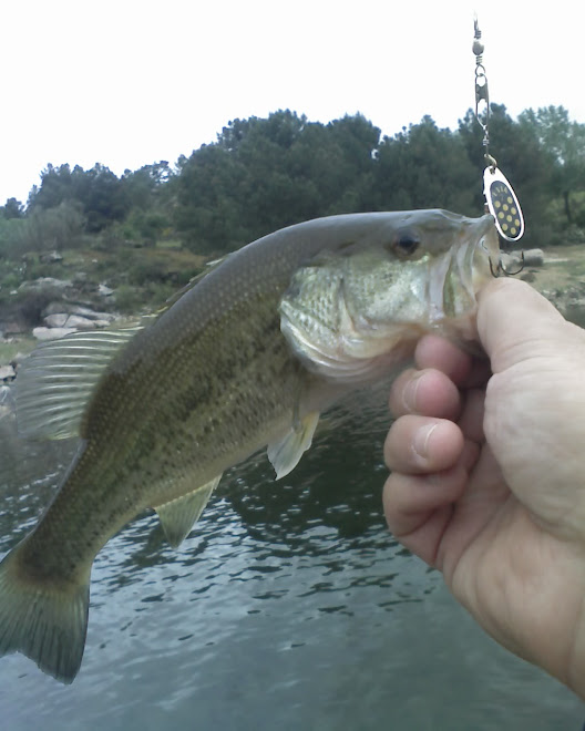 PASIONPESCA: Embalse de La Jarosa (20-Mar-2011)