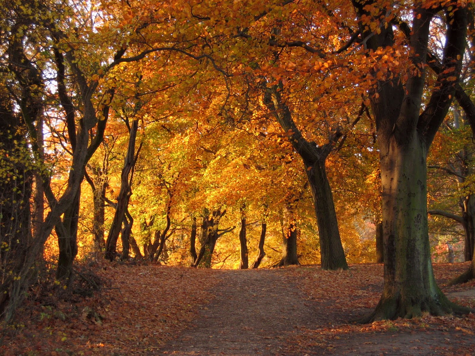 Les M&M's: Seven years ago in Hampstead Heat
