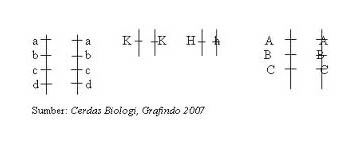 bee-OH!-logy: Substansi Genetika
