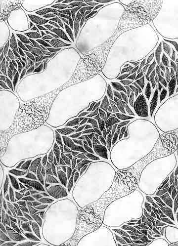 THE OTHER ART ONE: HARMONIOUS LINES,,,,