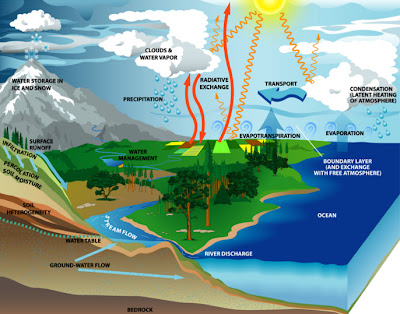 Mediterranean Forest For AP Bio: Biogeographical Cycles- 37°25'41.26"N ...