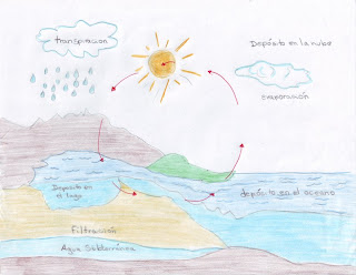 Ciclos de la Naturaleza: ¿Qué son los Ciclos de la Naturaleza?En que ...