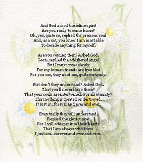 Daisy Poems And Quotes. QuotesGram