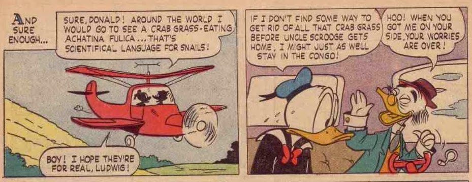 Duck Comics Revue: "Having a Panic"