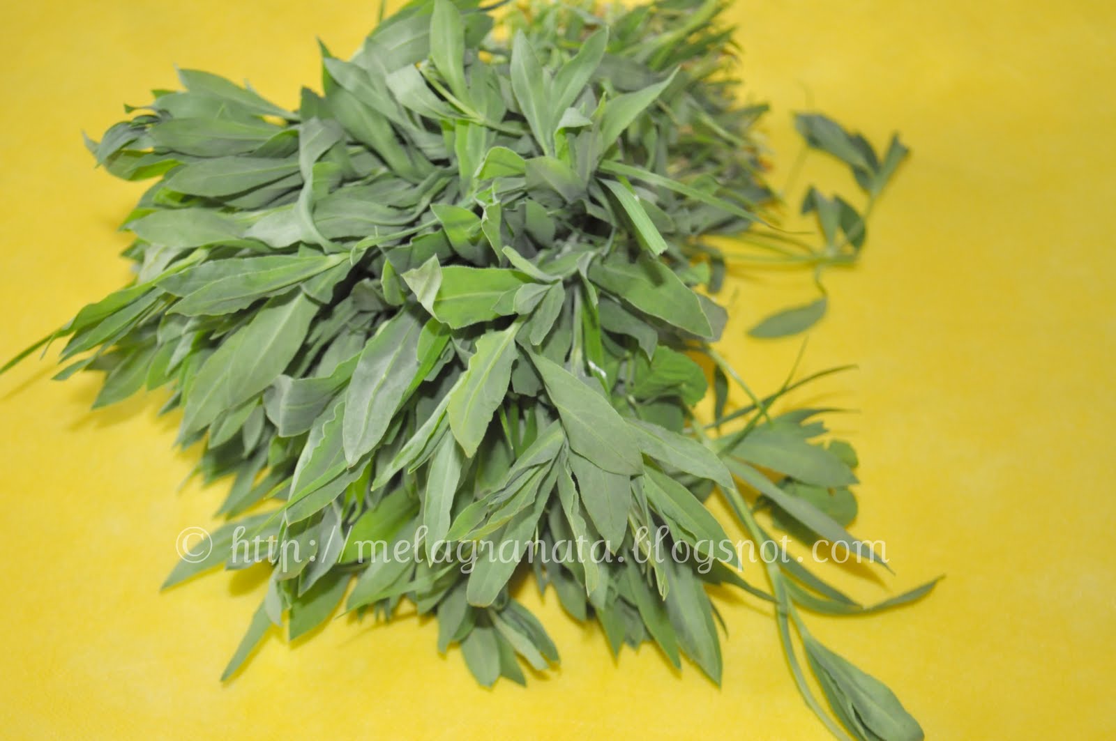 Risotto della Luna, con erba Selene | La Melagranata