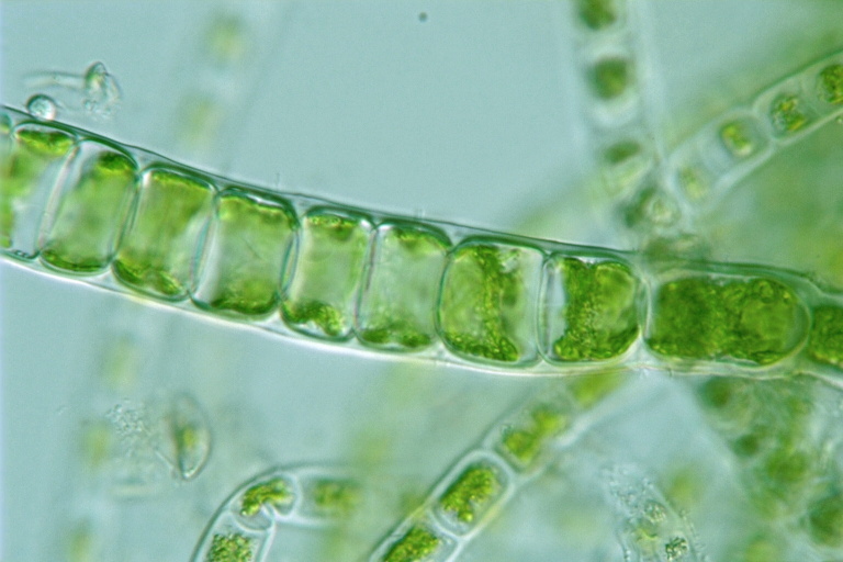 Let Beauty Brings You Wealth: Moora Bar