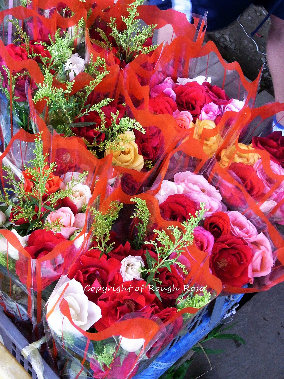 Rosa Sifu - Si Pencinta Bunga Mawar: To Ranau with love: Making ‘Bunga ...