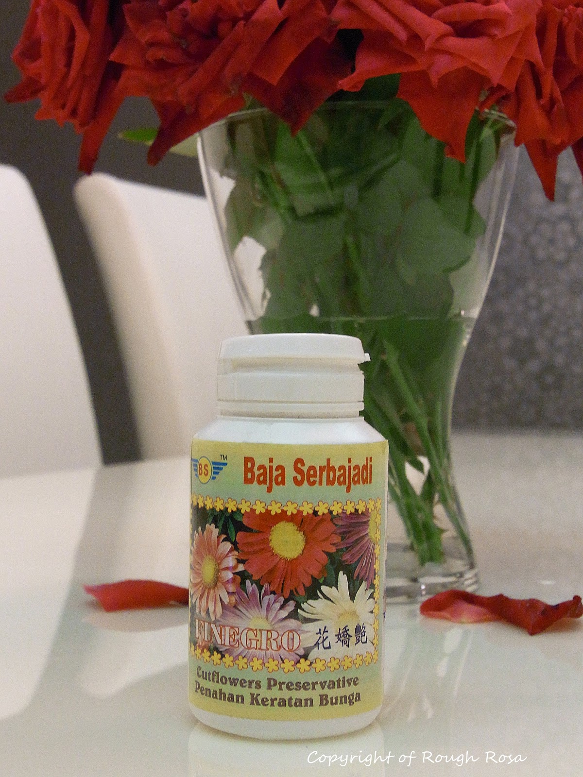 Rosa Sifu - Si Pencinta Bunga Mawar: A bouquet for a day - 2