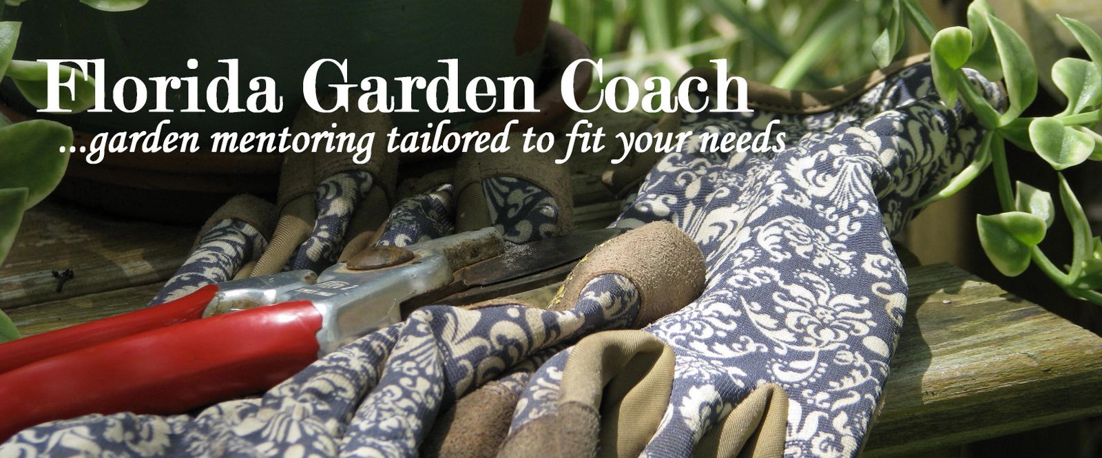 Hoe and Shovel: Garden Coaching