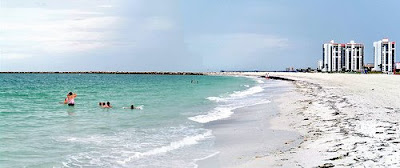 Sand Key Park Florida Beach Pictures | United States Beaches