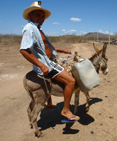 PORTAL G20: 09/12/10