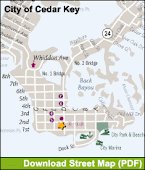 Dolphun: Christina's Summer Dolphin Adventure