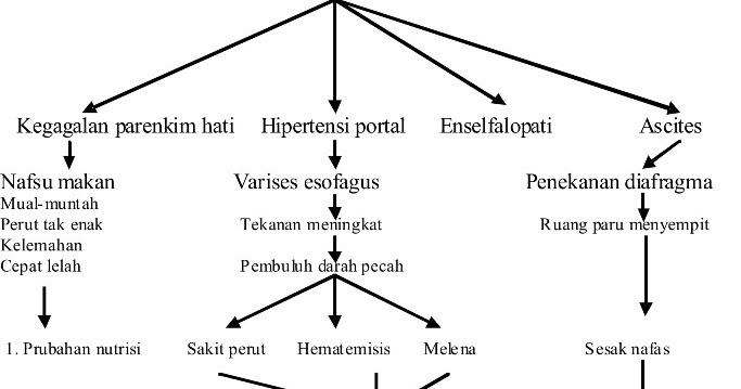 PATHWAY HEMATEMESIS MELENA | Teguh Subianto