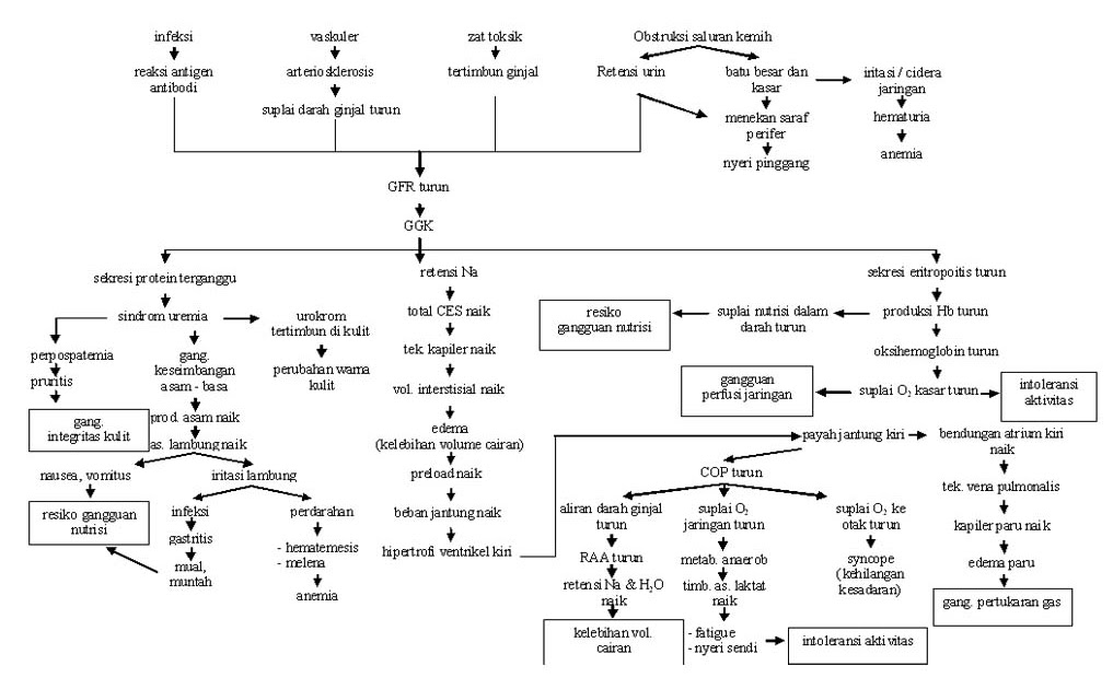 PATHWAY GAGAL GINJAL KRONIS | Teguh Subianto