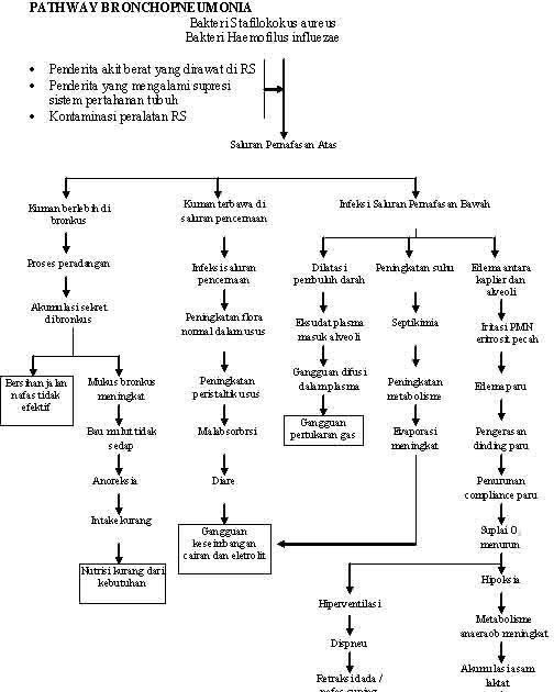 PATHWAY BRONCHOPNEUMONIA | Teguh Subianto