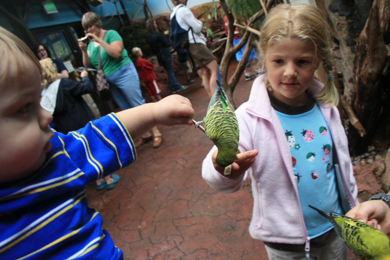 The Date Family: Woodland Park Zoo