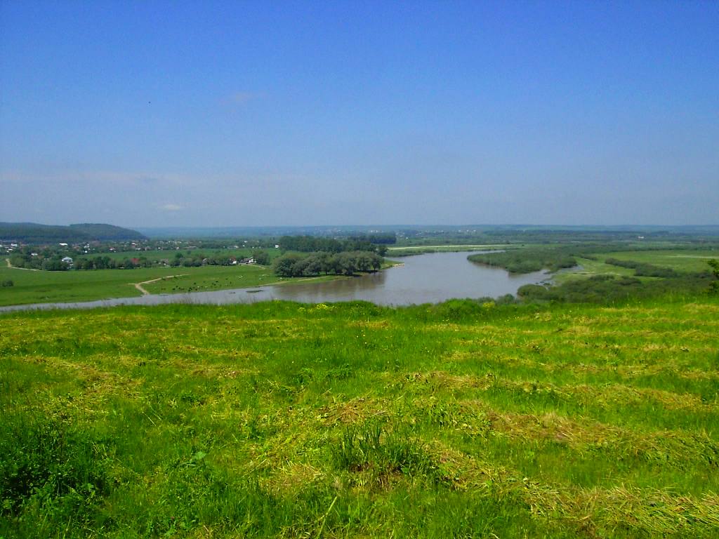 Kica Bijoux: ukraińskie stepy