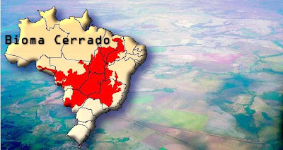 Estudando Geografia em Macroambientes: Cerrado brasileiro