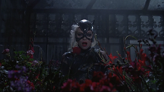 Gotham Alleys: Catwoman - supernatural?