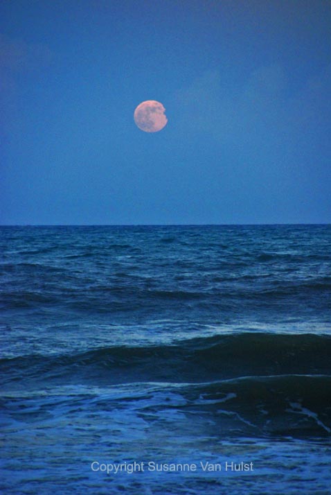 Sue's Daily Photography: The "Hungry Ghost Full Moon" at the Beach