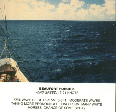 bAck tO BasIC: Beaufort scale & Sea state