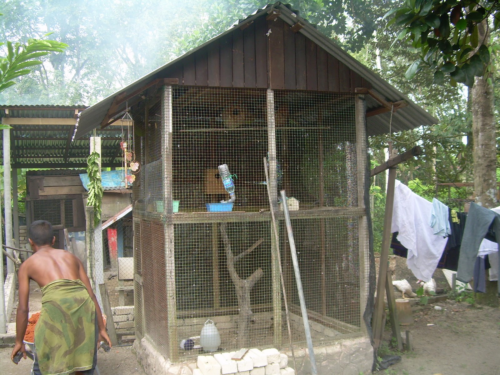 Upgrade Reban | Jiwa Niaga