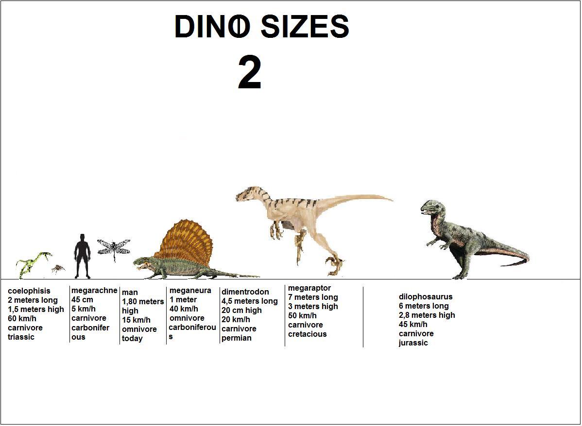 RIKANDUM: DINO SIZES (CONTINUAÇÃO)!!!
