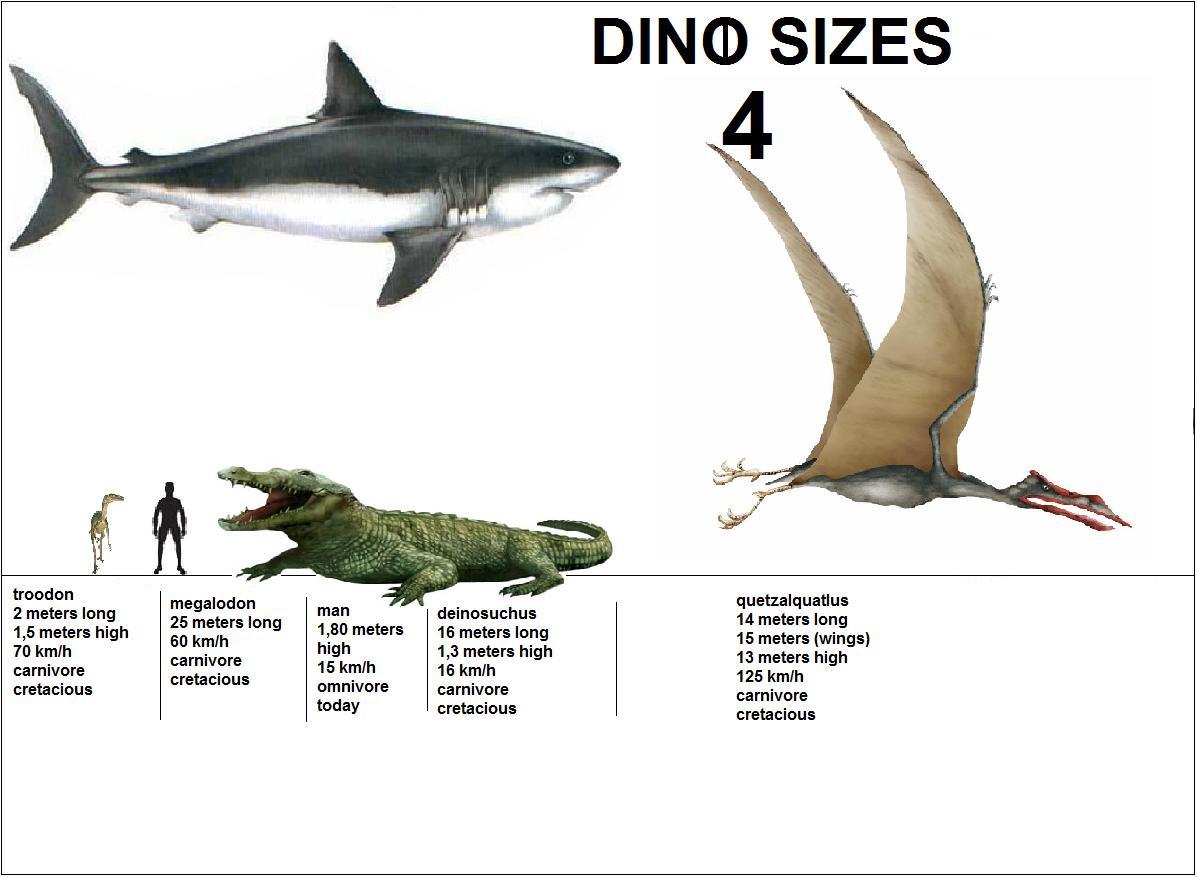 RIKANDUM: DINO SIZES (CONTINUAÇÃO)!!!