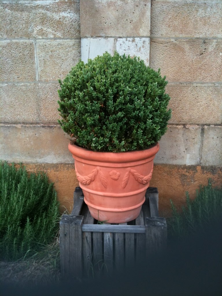 GardenPotsOnline: Tuscan Garden Pots