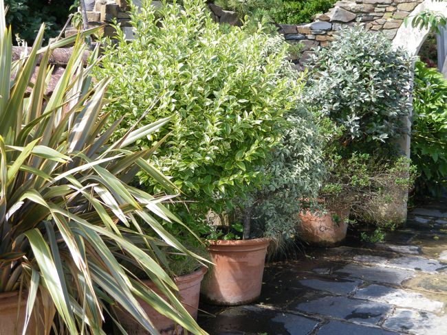 Nuts in May: Pecorama Gardens