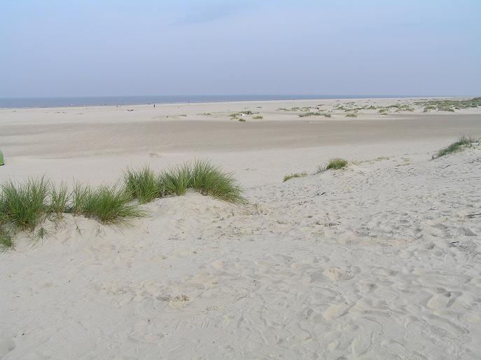 Heike Querbeet: Norderney