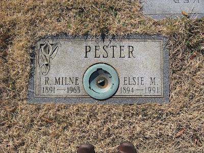 A Journey into the Past: February 2008