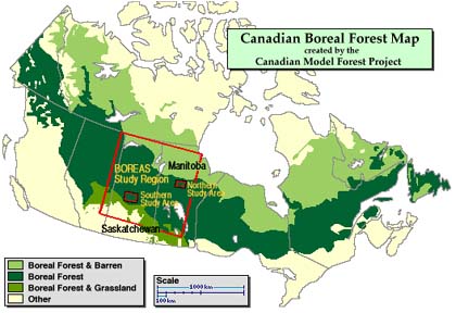 Terra Forming Terra: Agricultural Potential of Boreal Forest