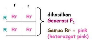 BIONCE: Bab 5 Pola-pola Hereditas