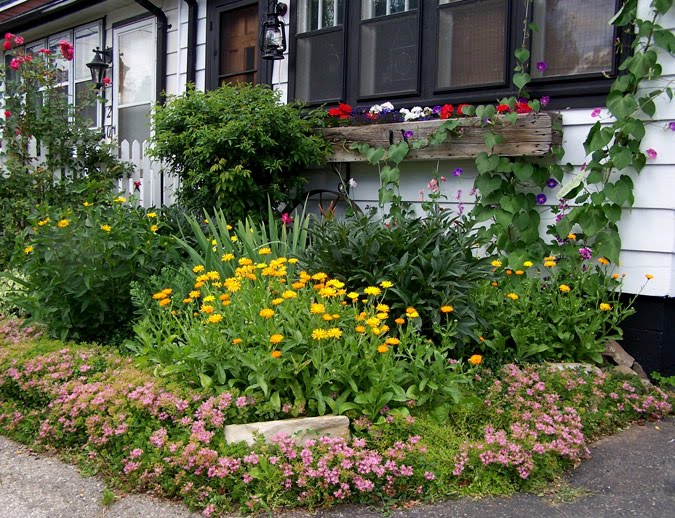 Three Dogs in a Garden: The Garden Of Bud and Linda Adlams, Huttonville ...