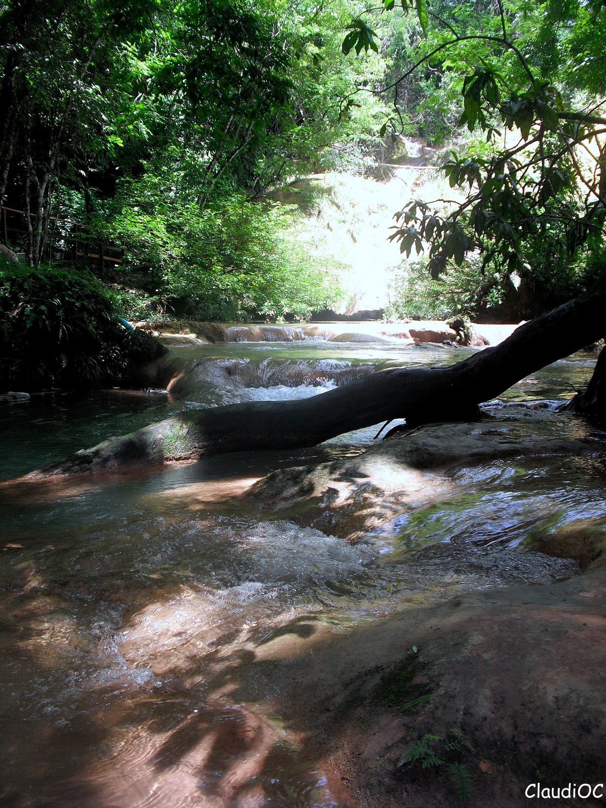 Literatura y Mundo Maya: Cascadas de Agua Azul