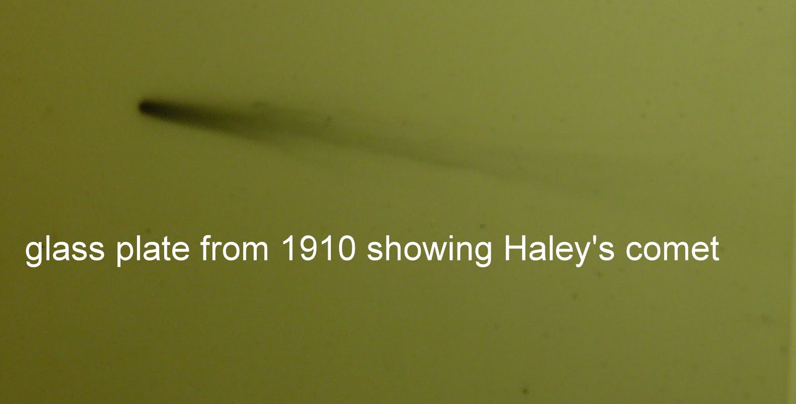 Smriti's adventure zone: Harvard plate stacks tour