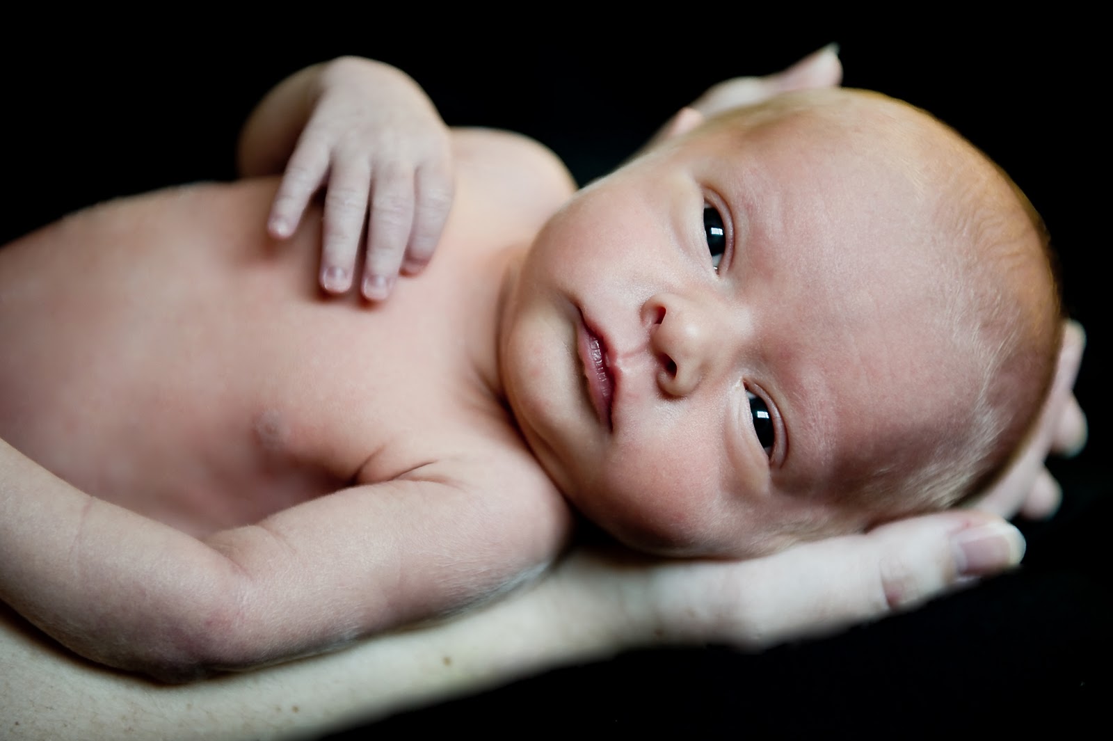 Tammy Bennett Photography: Baby Landon