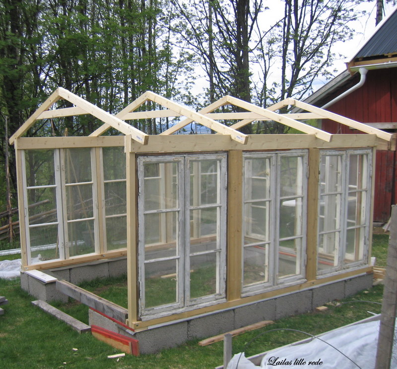 Man kan bygga eget växthus | Drivhus diy, Drivhus, Hageplanlegging