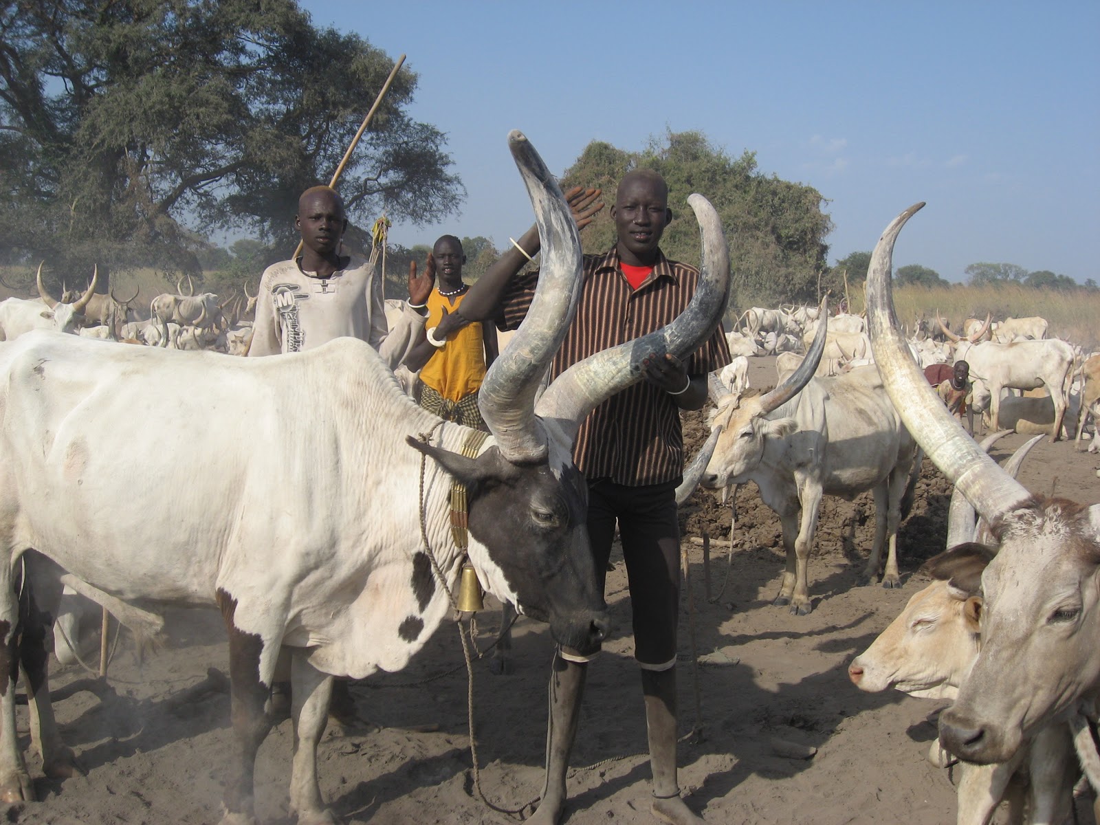 Researching South Sudan: Cattle Camp Sartorialists