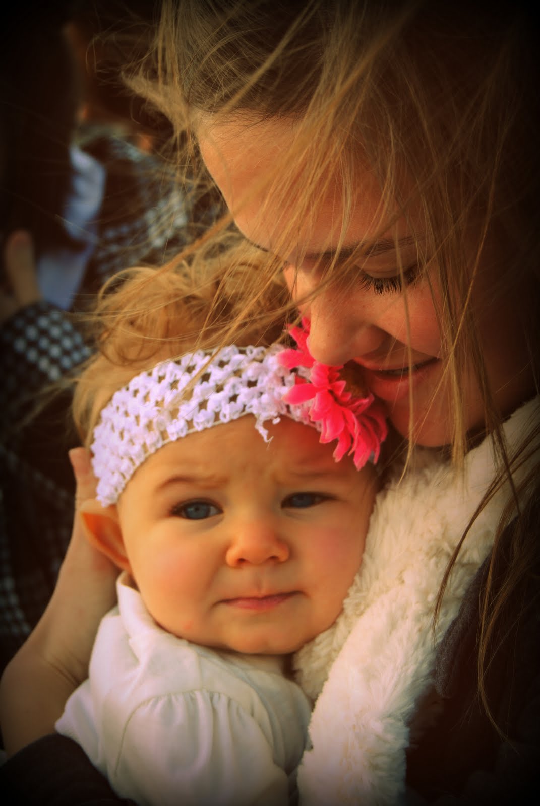 Ben, Jessica, Allyson, Kilee, & Radley: Ashley & Jason's Wedding