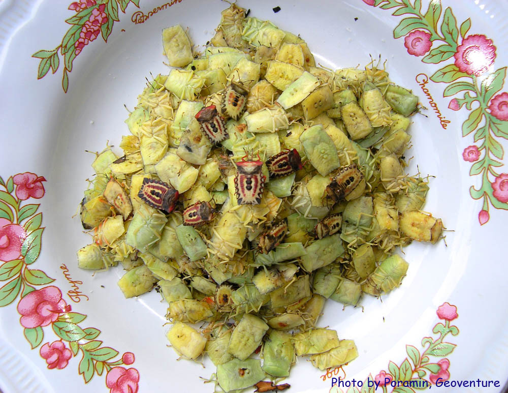 Poramin’s blog: More choices of weird food in Thailand