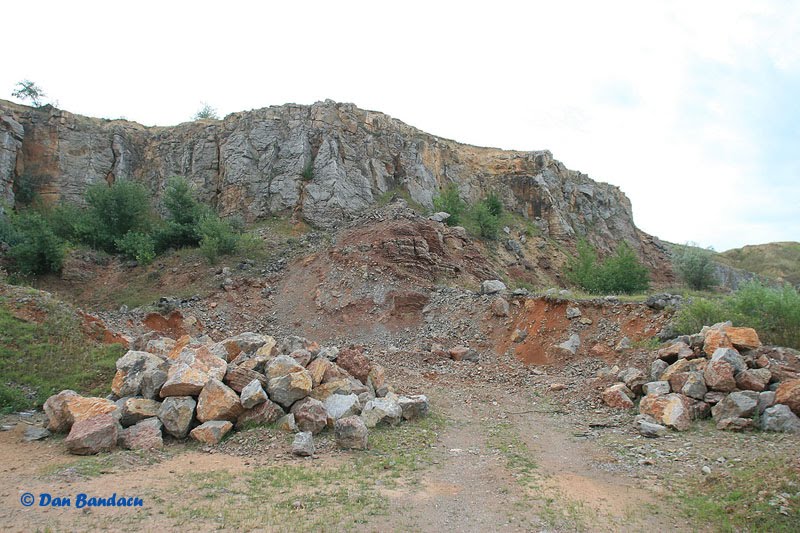 Dan din Delta Dunării: PASAREA OGORULUI SI CARIERA ZEBIL