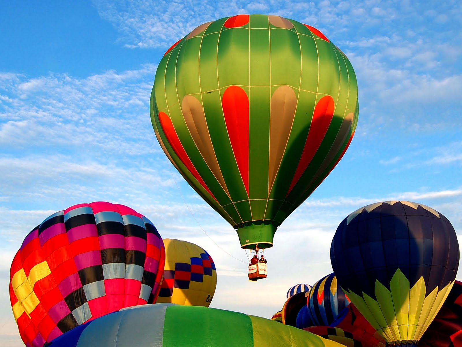 Salem, Oregon Daily Photo Diary: Theme Day : Bright Colors