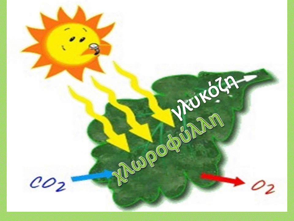 ΧΡΩΜΑΤΟΠΟΙΟΙ: ΦΩΤΟΣΥΝΘΕΣΗ
