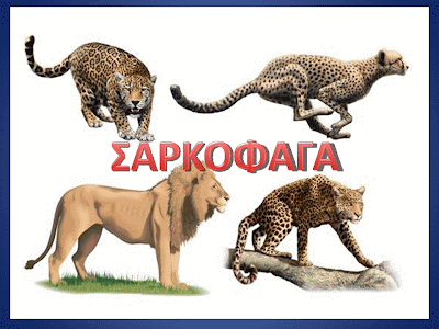 ΧΡΩΜΑΤΟΠΟΙΟΙ: ΘΗΛΑΣΤΙΚΑ