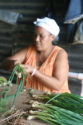 My Chutney Garden: Paramin Seasoning