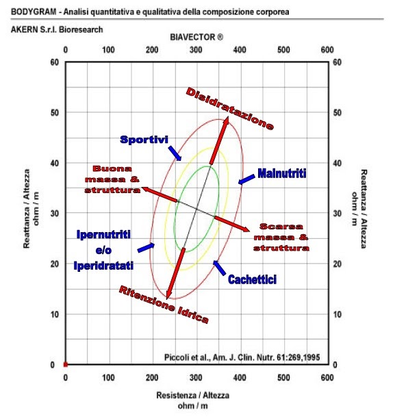 Personal Trainer Ancona Marche: Composizione corporea