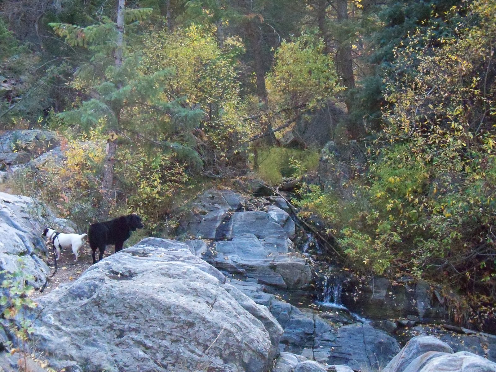 Trail and Park Reviews: Beaver Brook Trail to Windy Saddle Park ...